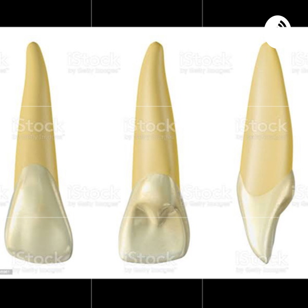 Listener Numbers, Contacts, Similar Podcasts - Anatomia