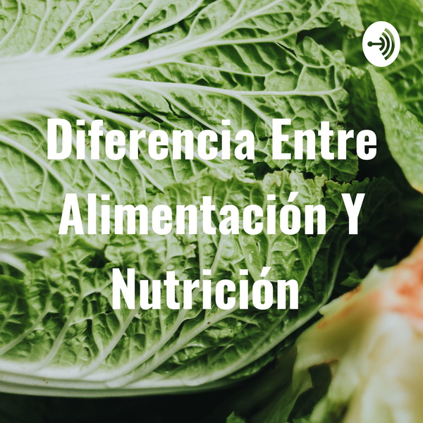 Listener Numbers, Contacts, Similar Podcasts - Diferencia Entre ... Listener Numbers, Contacts, Similar Podcasts - Diferencia Entre ...