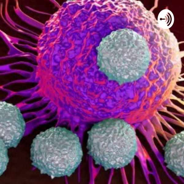 Listener Numbers Contacts Similar Podcasts Função E Ativação Dos