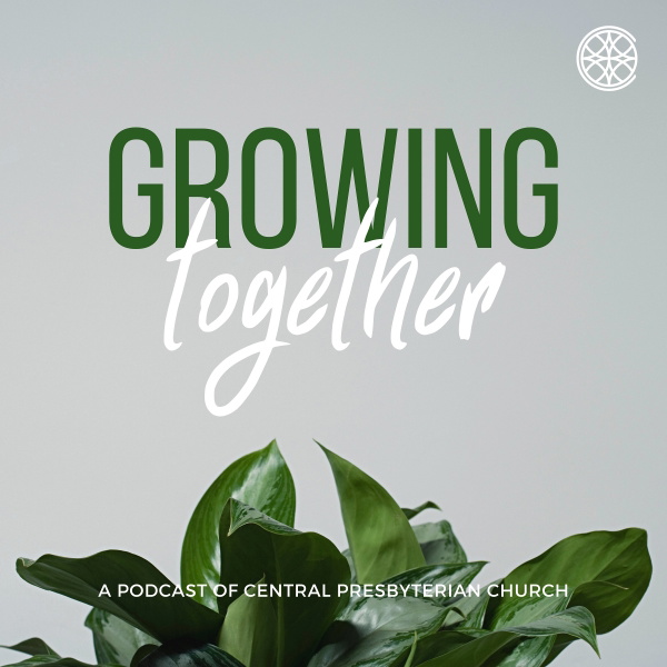 Listener Numbers, Contacts, Similar Podcasts - Growing Together