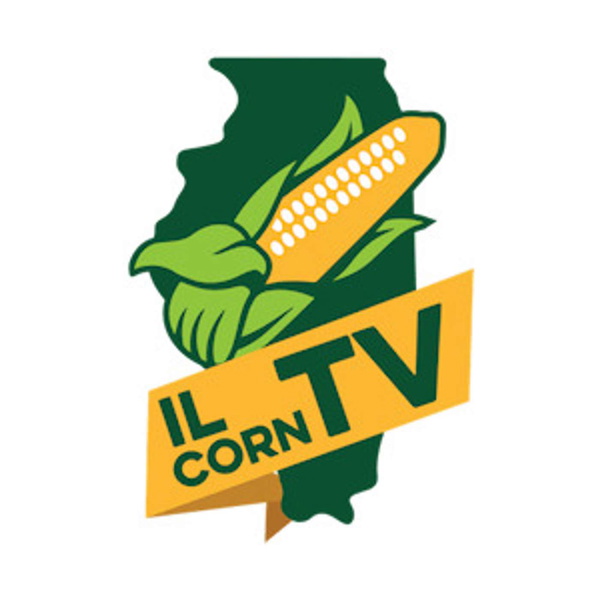 Listener Numbers, Contacts, Similar Podcasts - IL CORN TV