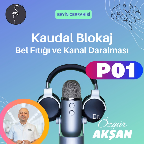 Listener Numbers, Contacts, Similar Podcasts - Kaudal Blokaj Nedir