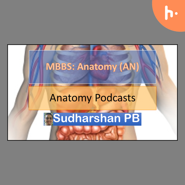 Listener Numbers, Contacts, Similar Podcasts - MBBS Anatomy