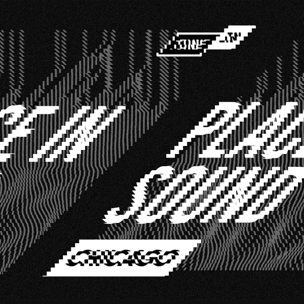 Listener Numbers, Contacts, Similar Podcasts - Place in Sound