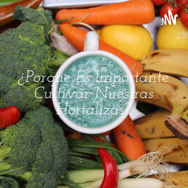 Listener Numbers, Contacts, Similar Podcasts - ¿Porque Es Importante ...