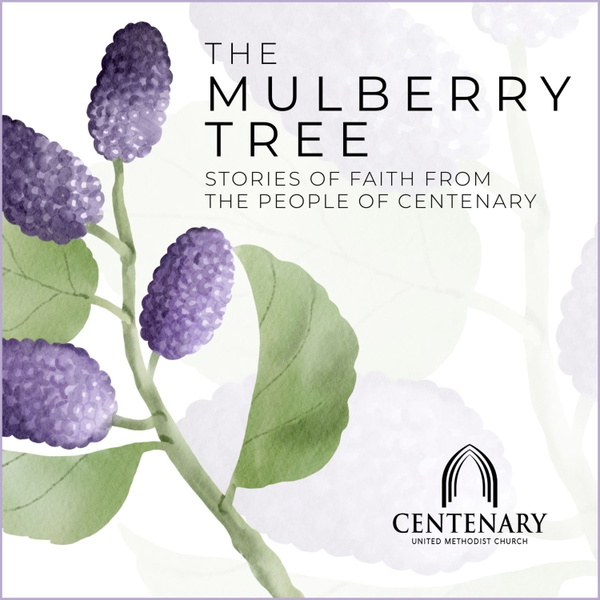 Listener Numbers, Contacts, Similar Podcasts - The Mulberry Tree