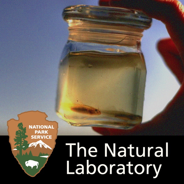 Listener Numbers, Contacts, Similar Podcasts - The Natural Laboratory