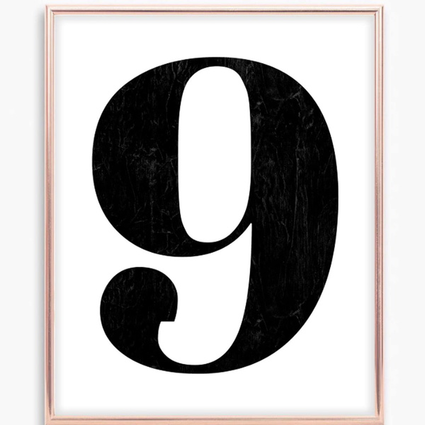 Listener Numbers, Contacts, Similar Podcasts - The Niners Podcast